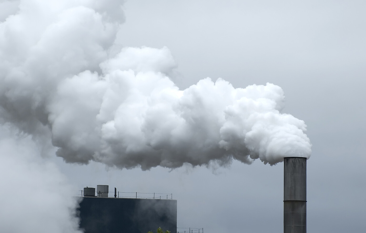 Case Law Update: Summary of Yahey v. British Columbia